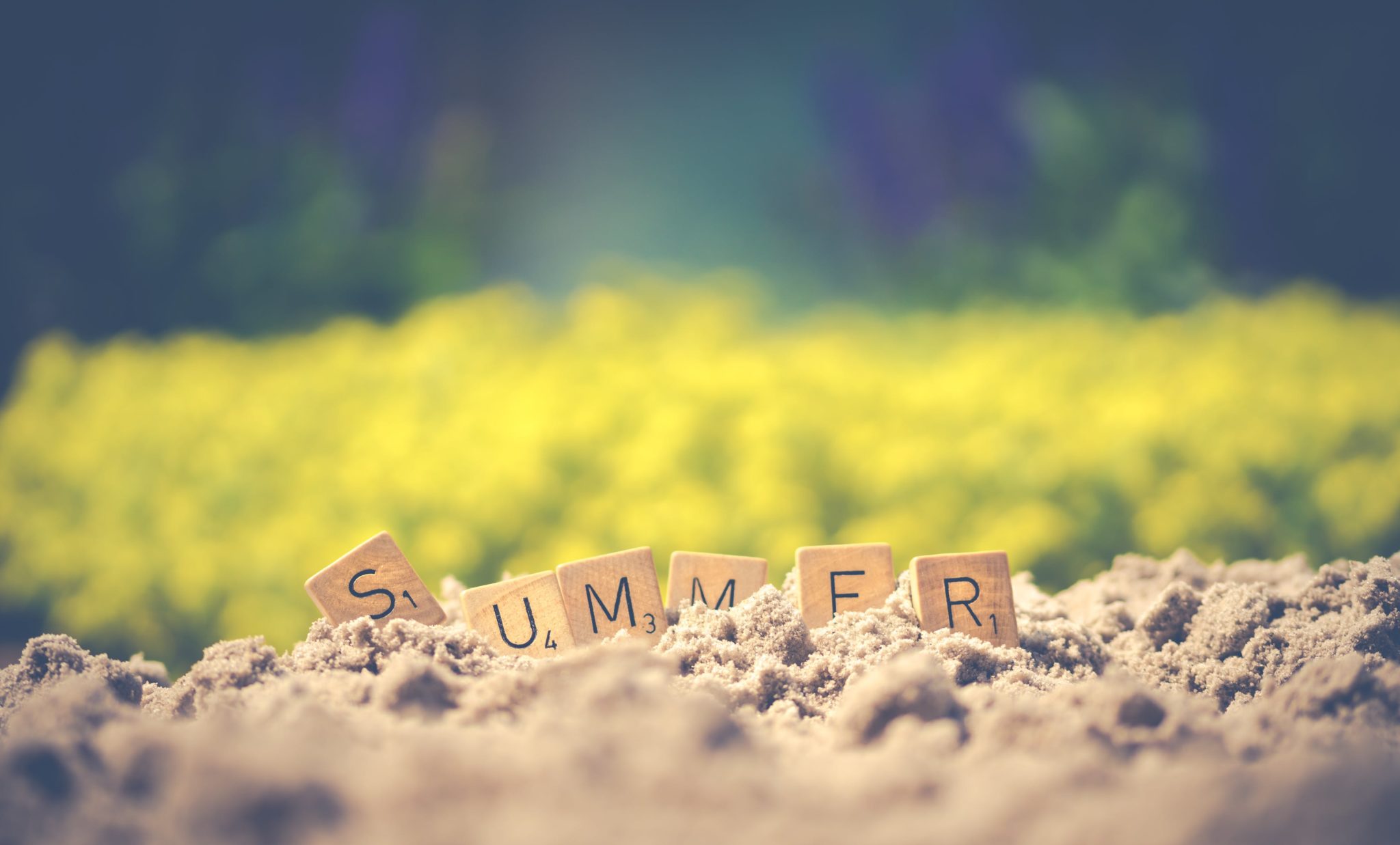 Summertime and the Wording Is Easy: Five Fiery Summer Words and Their ...